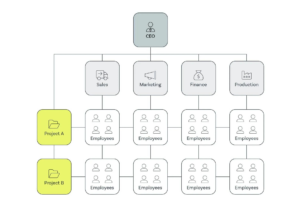 Matrix Organization: Definition, Benefits & Challenges | Ingentis
